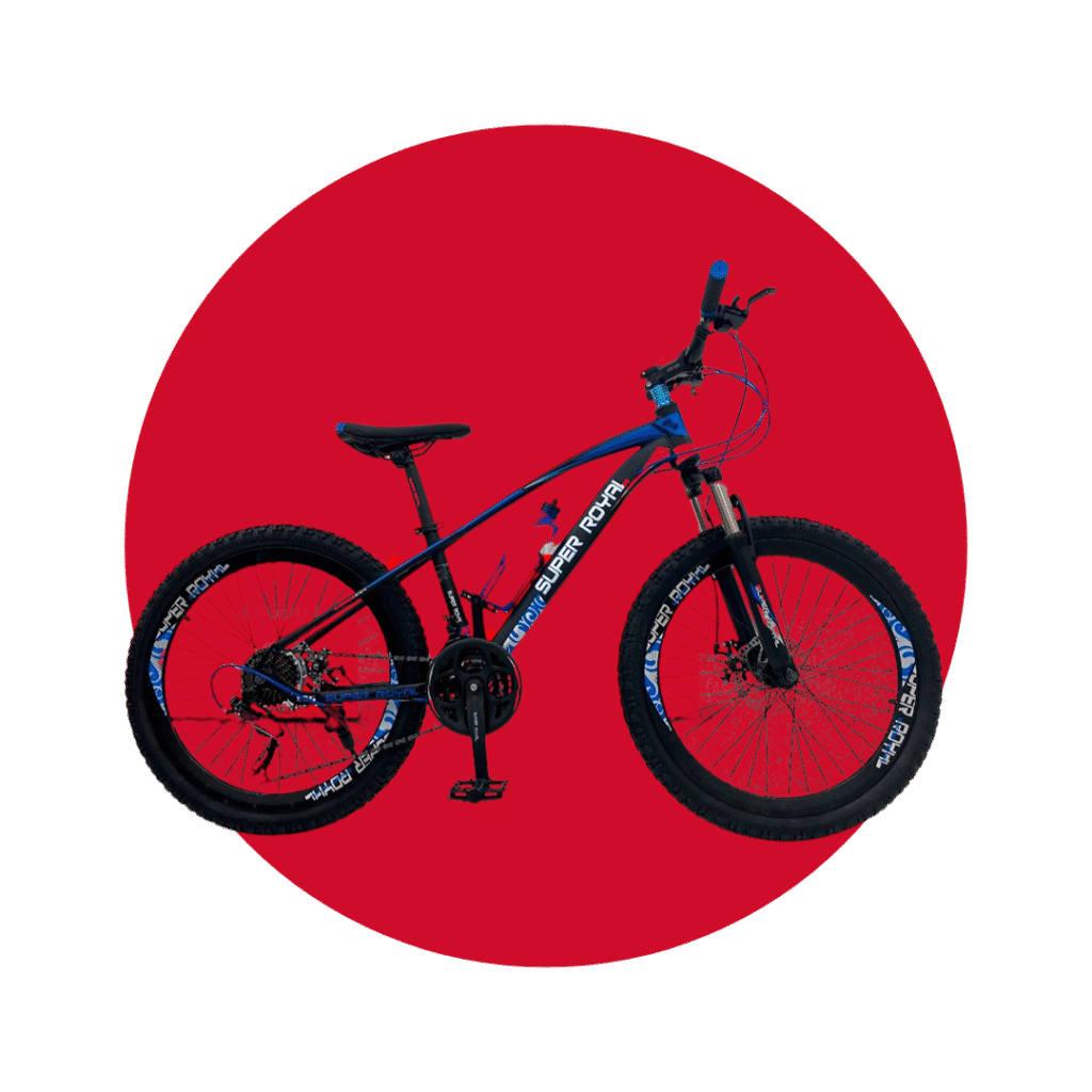 BICICLETA ARO 24 SUPER ROYAL - TECNOCOSTO